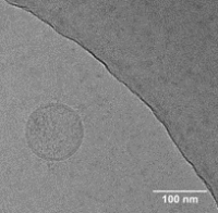 PRODUCTS - Evercyte - Forever is just enough