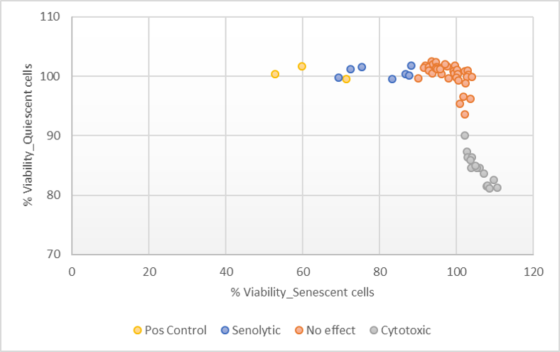 senolytic / senomorphic drug testing - Evercyte - Forever is just enough